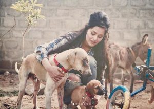 ACF Animal Rescue made sure animals were safe from the rain - Cutacut.com